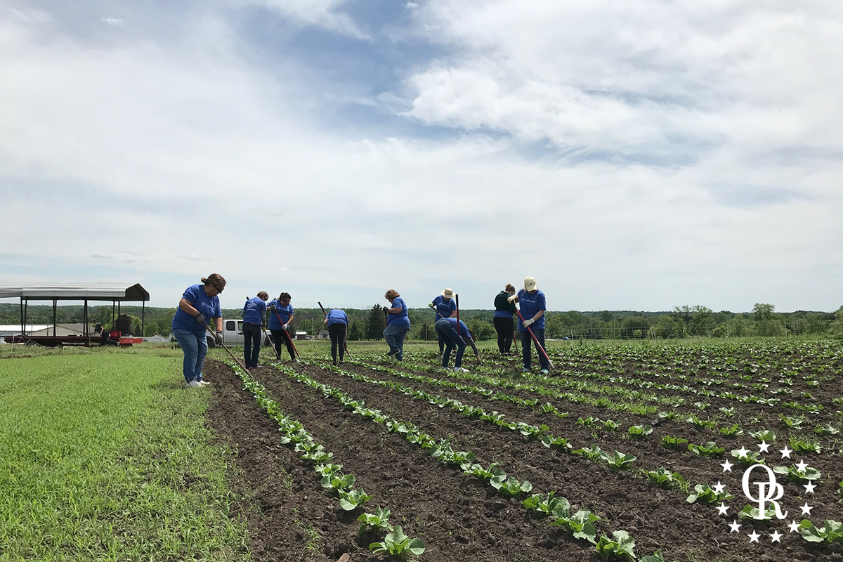 Culture | Old Republic Risk Management